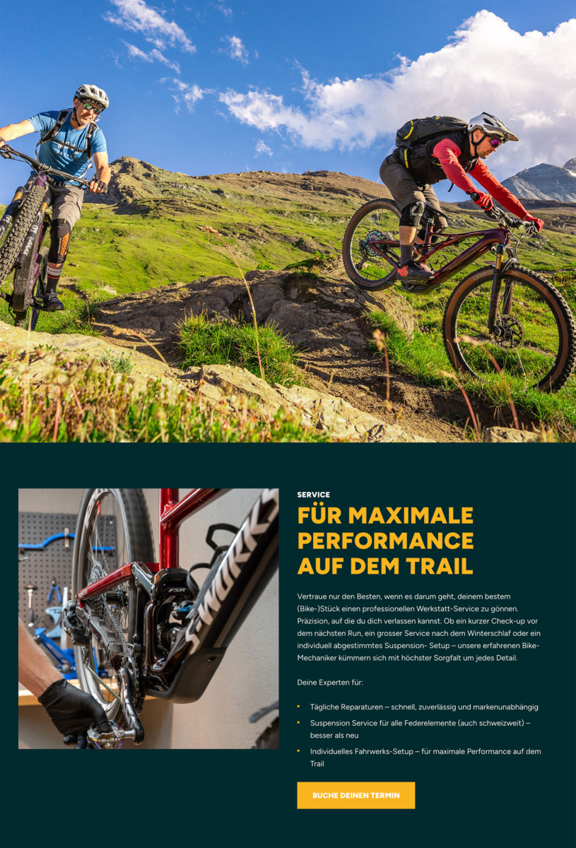 Alpine Bikes | Portfolio | Neofluxe